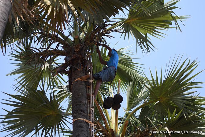 Tuk Tuk tour to Mt. Popa - FAQs