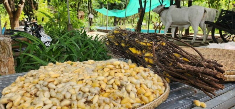 Tuk-Tuk Tour to Silk Island & Udong Mountain - Final Thoughts