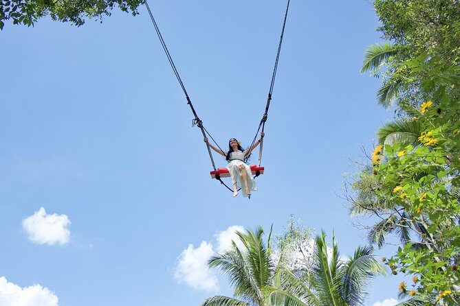 Tukad Cepung Waterfall, Bali Swing & Traditional Village Day Tour - Key Points