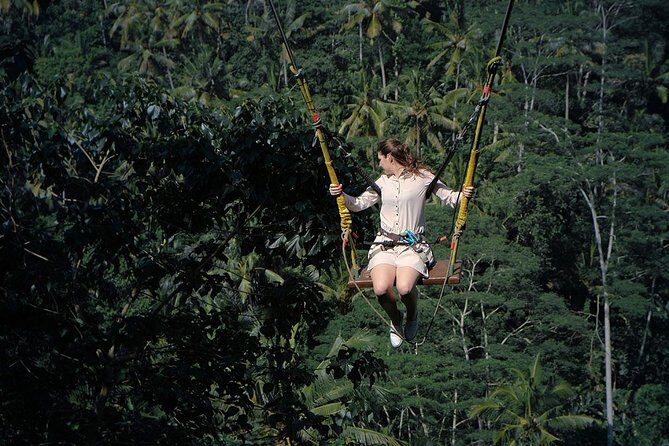 Tukad Cepung Waterfall, Bali Swing & Traditional Village Day Tour - What to Expect from the Tour