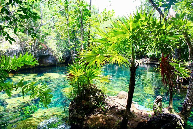 Tulaka Cenote Experience - How Does It Compare to Other Experiences?