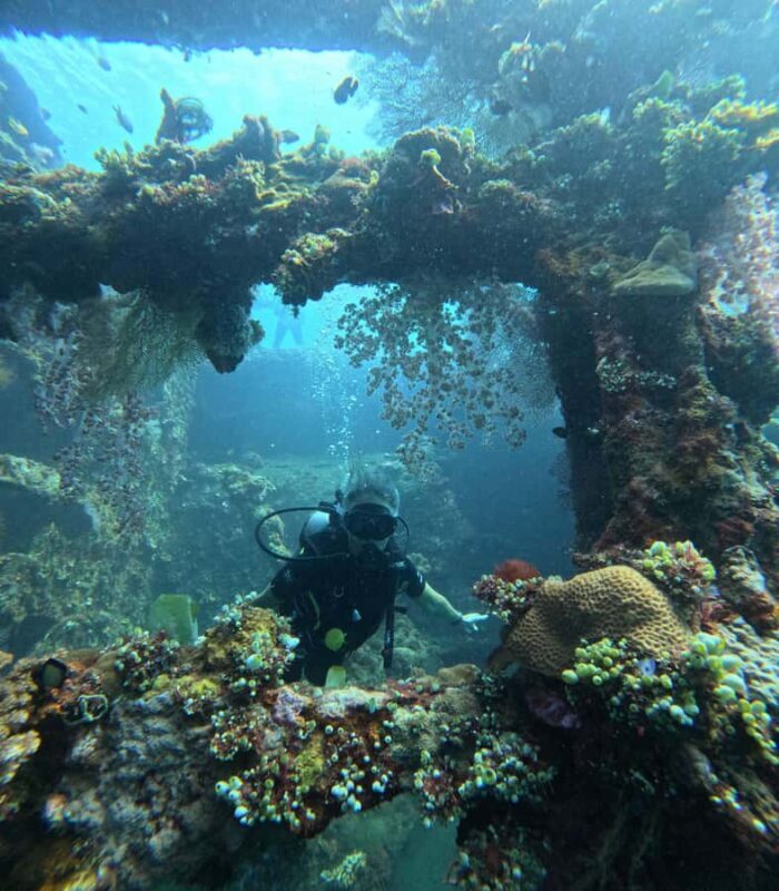 Tulamben Liberty Wreck 3 dives daytrip from South Bali - An In-Depth Look at the Tulamben Liberty Wreck Day Trip