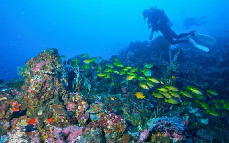 Tulamben: Underwater Paradise Scuba Diving Experience - Why Choose This Tour?