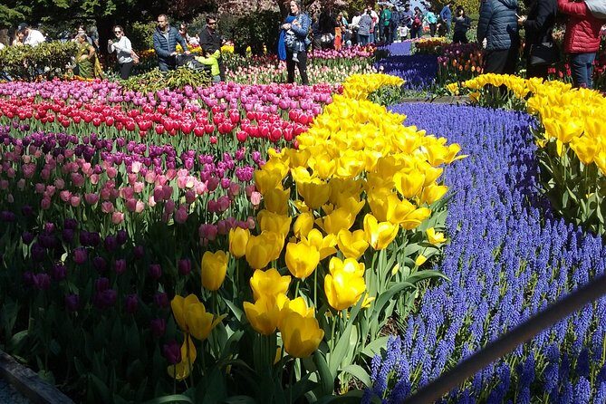 Tulip Festival and Skagit Valley Tour - Who This Tour Is Perfect For