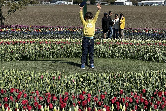 Tulip Festival in Skagit Valley Tour from Seattle - Practicalities and Tips