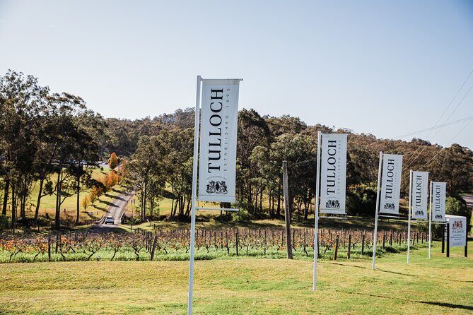 Tulloch Wines Hunter Heroes Wine Tasting with Local Cheese & Charcuterie Board - Practical Details & Tips