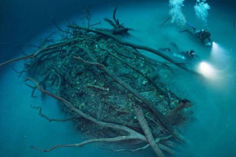 Tulum: 2 Dives in Chac Mool Cenote - An In-Depth Look at the Tulum Cenote Diving Experience
