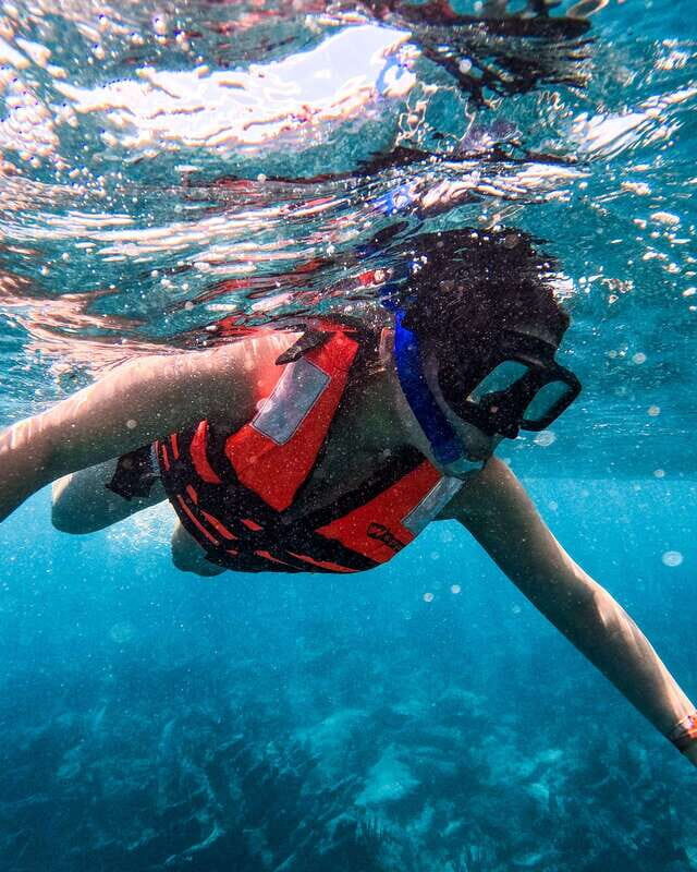 Tulum: 2-Hour Snorkeling in Two Spots of Tulum's Reef - The Sum Up