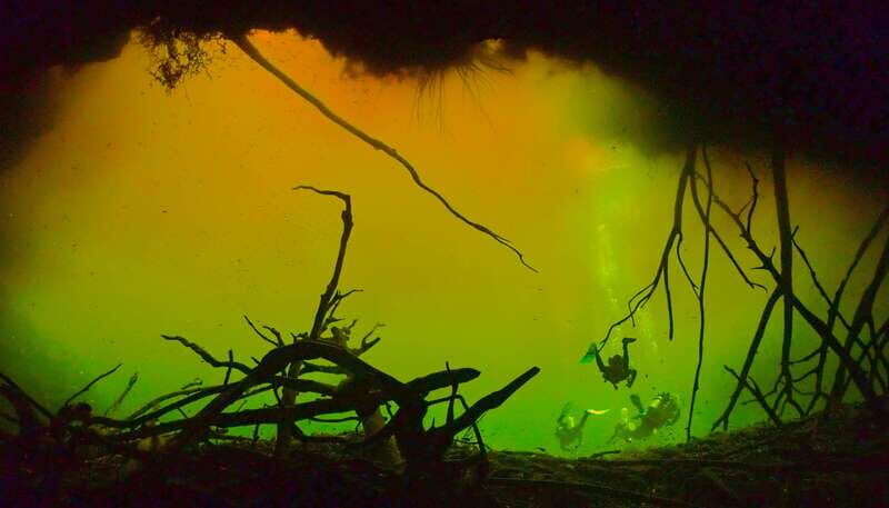 Tulum: 2 Tank Cenote Dive - Comparing Similar Experiences