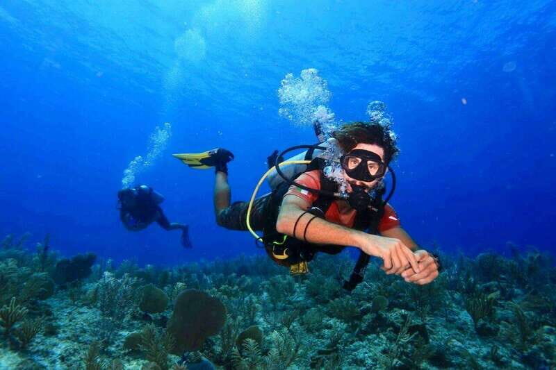 Tulum: 2 Tank Reef Diving - Introduction: Why Choose this Reef Diving Tour?