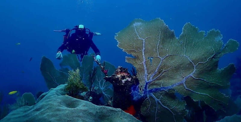 Tulum: 2 Tank Reef Diving - The Practical Side: Duration, Group Size, and Flexibility