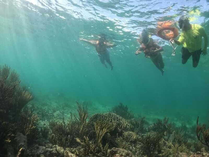 Tulum: 3 hour Snorkel & sailing experience - Final Words