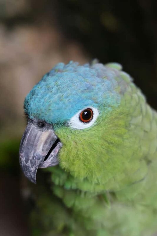 Tulum, 4 Cenotes, and Playa del Carmen - Tulum, 4 Cenotes, and Playa del Carmen: An In-Depth Review