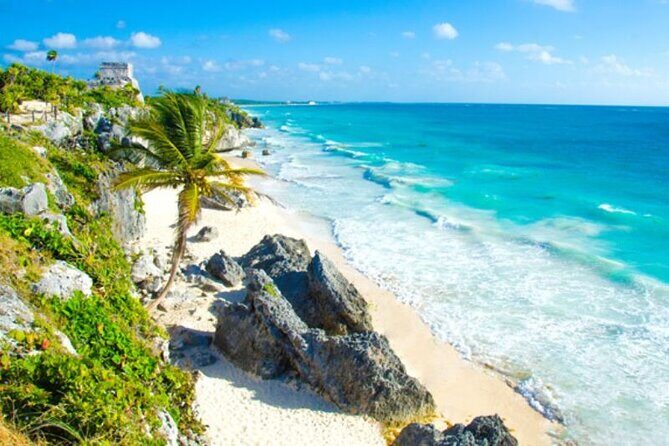 Tulum 4 Cenotes at home Turtle and Sculpture Mother Nature - An In-Depth Look at the Tour Experience