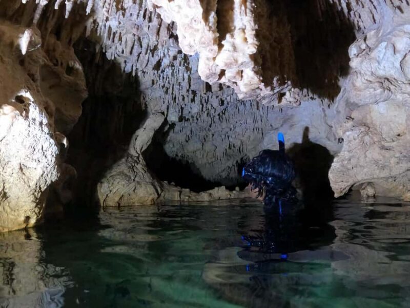 Tulum: 4 Cenotes Casa Tortuga Guided Tour with Free Time - The Sum Up: The Right Fit for Curious Travelers