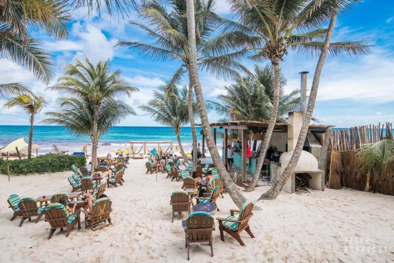 Tulum: Ahau Half-Day Pass with Premium Food and Drinks - Gourmet Food and Premium Cocktails