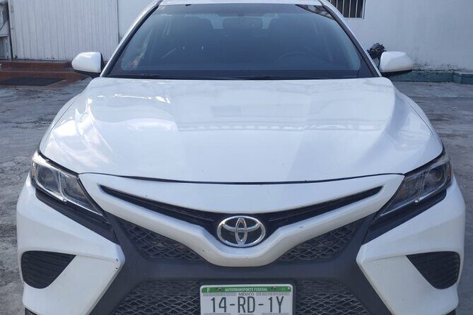 Tulum Airport Private Transfer to Hotels and Airbnbs - What to Expect from the Tulum Airport Private Transfer