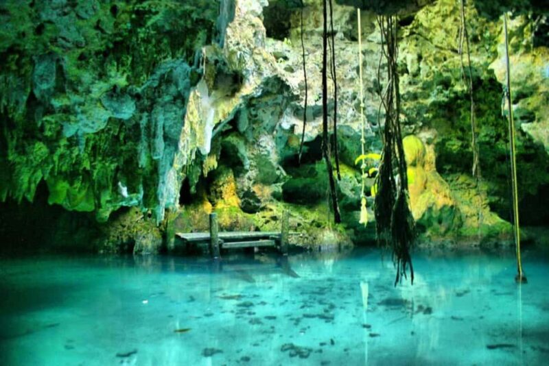 Tulum: Akumal Turtles and Underground Cenote Swim Tour - Final Thoughts: Is This Tour Right for You?