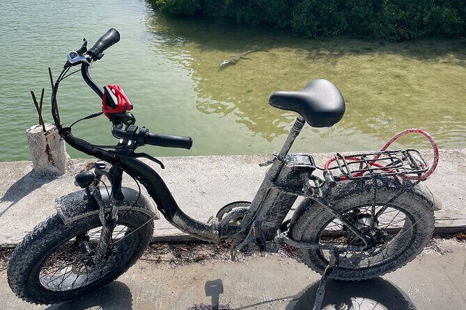 Tulum Area Experiences E-Bike Daily Rental - Key Points