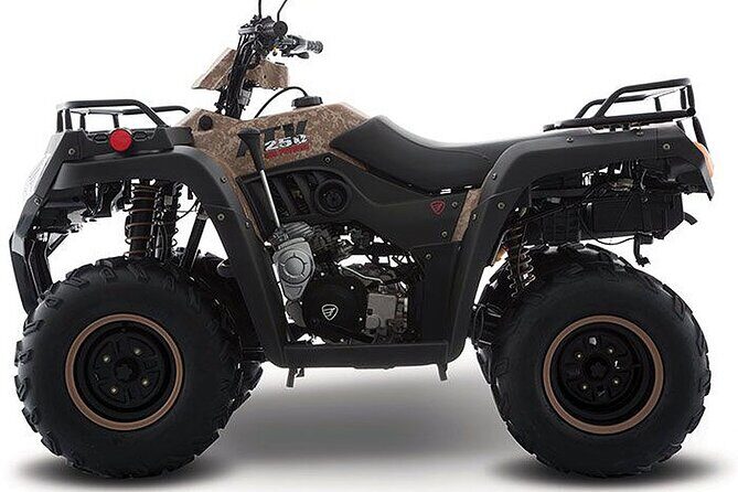 Tulum Area Experiences Guided ATV Tour to 3 Cenote's, Snorkel/Swim & Local Lunch - Unpacking the Experience: What You Can Expect