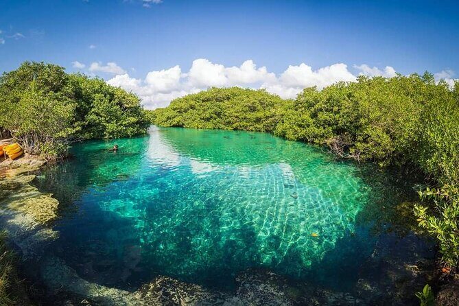 Tulum Area Experiences Guided Snorkeling Tour - Casa Cenote + Ocean Reef & Lunch - An Introduction to the Tour Experience