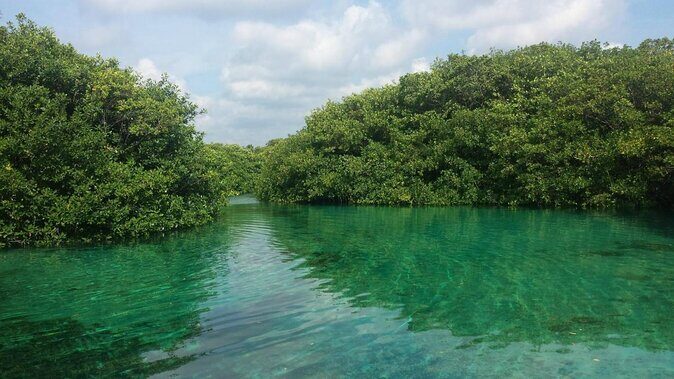 Tulum Area Experiences "Try" Scuba Diving Casa Cenote - Snacks - No experience - Key Points