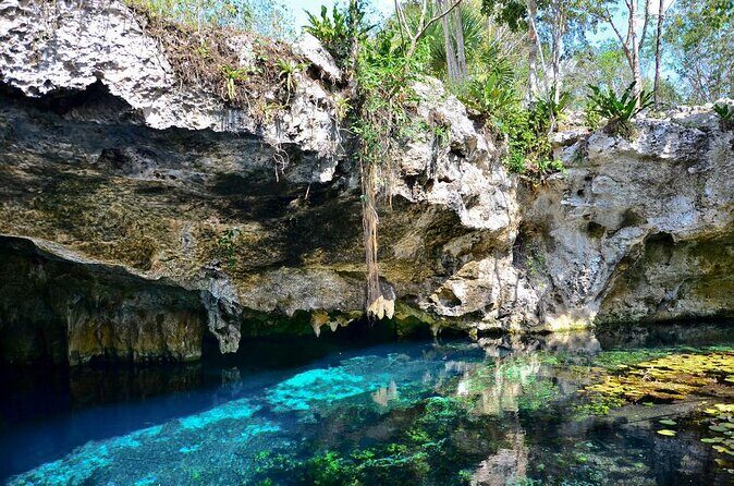 Tulum Area Guided Scooter Tour to 3 Cenote's, Snorkel/Swim & Local Lunch - Discovering the Cenotes on a Scooter