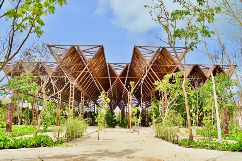 Tulum: Beach Club with Food and Drinks - What’s Included and What to Expect