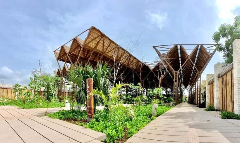 Tulum: Beach Club with Food and Drinks - Practical Details: Timing, Transportation, and Group Size