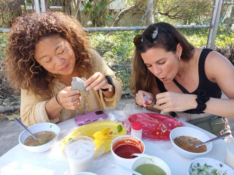 Tulum: Best Taco Tour - Introduction: Authentic Tulum Flavors, Local Streets, and a Side of History