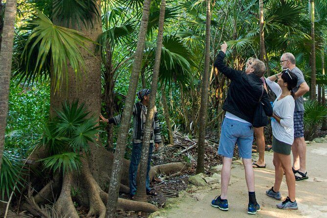 Tulum Bike Tour Tulum Maya Ruins Cenote Swimming Pueblo History Art Tacos Lunch - FAQ