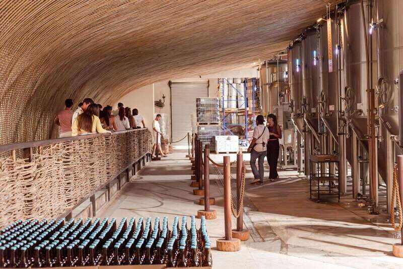 Tulum Brewery Tour and Brews & Bites - Who Should Try This Tour?