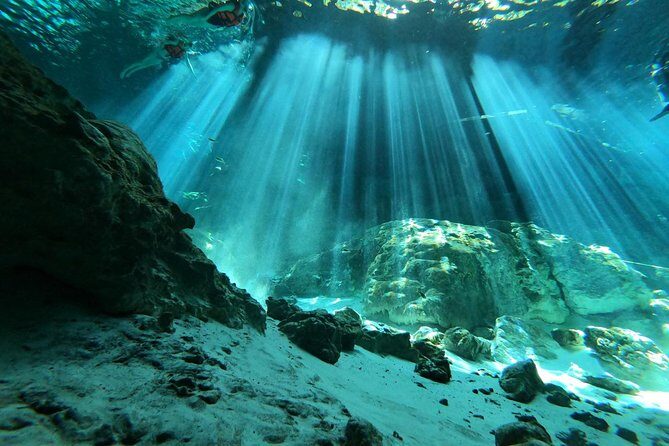 Tulum cenote diving. The ultimate experience in scuba - An In-Depth Look at the Tulum Cenote Diving Experience