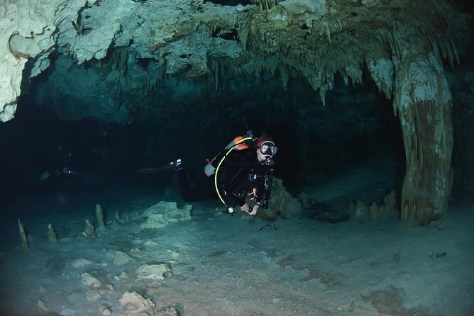 Tulum cenote diving. The ultimate experience in scuba - Why This Tour Might Be Just Right for You