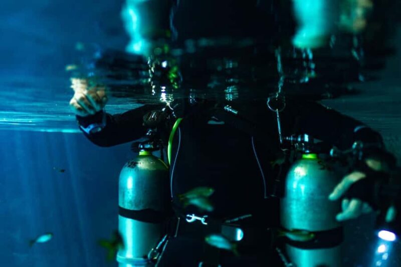 Tulum: Cenote Dos Ojos Dive Dive Machine Experience - Setting the Stage: From Playa del Carmen to Tulum