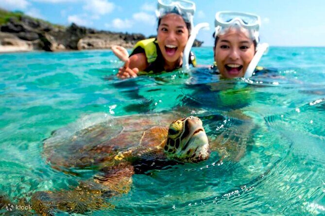 Tulum : Cenote Swim & Turtle Tour with Ruins Visit & Buffette - An In-Depth Look at the Tour