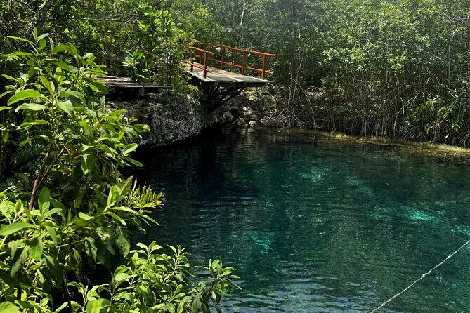 Tulum Cenotes Tour Experience - Flexibility and Cancellation