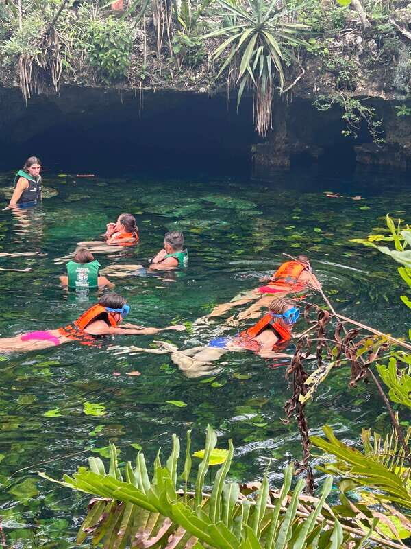 Tulum: Cenotes Tour with Snorkeling and Lunch - A Deep Dive into the Cenotes Tour Near Tulum