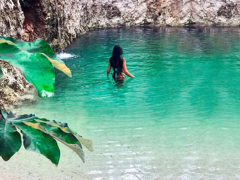 Tulum: Chocolate & Honey Sanctuary Experience with Lunch - Who Will Love This Tour?