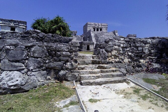 Tulum, Coba, Cenote & Playa del Carmen Tour - Who Is This Tour Best For?