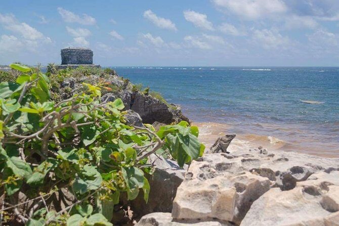 Tulum & Coba Private Tour - End of the Day and Return