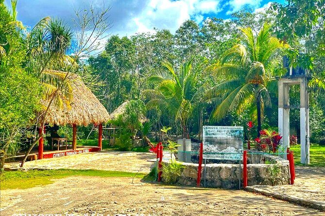 Tulum & Coba: Ruins, Rides & Refreshing Dips! - What to Expect from the Transportation & Logistics