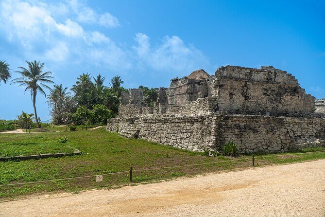 Tulum & Coba Ruins with Cenote Swim Tour from Playa del Carmen - Who Should Consider This Tour?