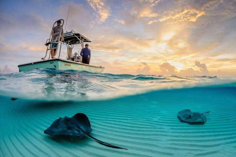 Tulum: Cozumel Cielo Snorkel Adventure from Cancun - Key Points