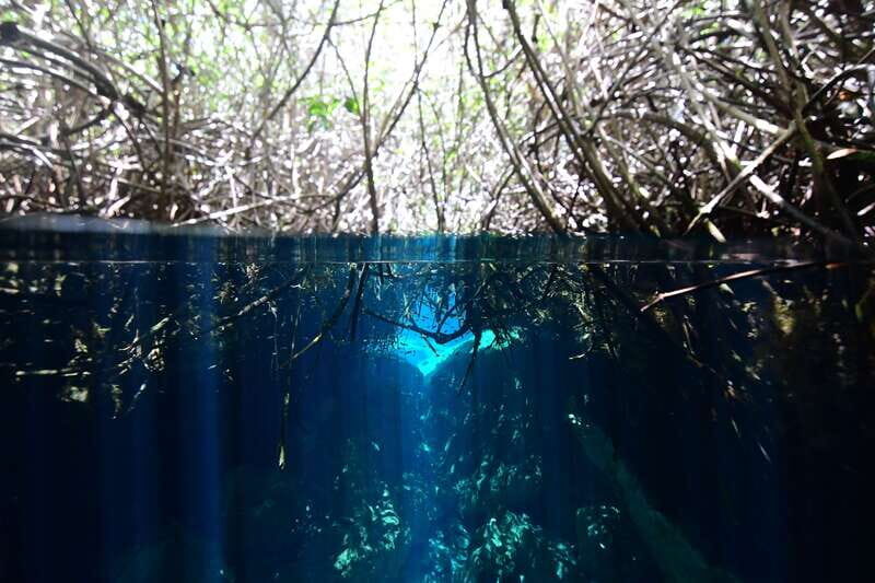 Tulum: Discover Scuba Diving in Cenotes - Key Points