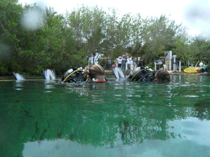 Tulum: Discover Scuba Diving in Cenotes - Introduction to the Experience