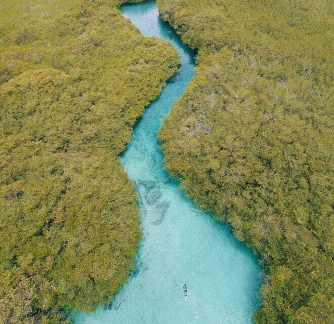 Tulum: Discover Scuba Diving in Cenotes - Why This Tour Works Well