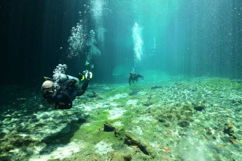 Tulum: Discover Scuba Diving in Cenotes - The Sum Up