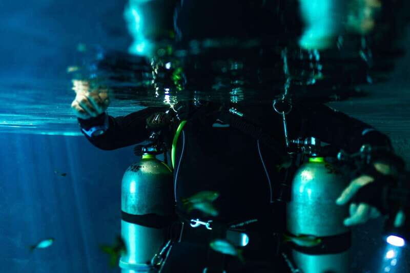 Tulum: Discover the Depths of Dos Ojos Cenote - Authentic Feedback from Past Participants