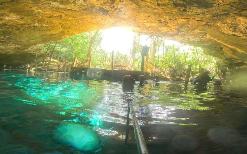 Tulum: Dos Ojos Cenote 2 Scuba Dives with Transfer Option - Frequently Asked Questions